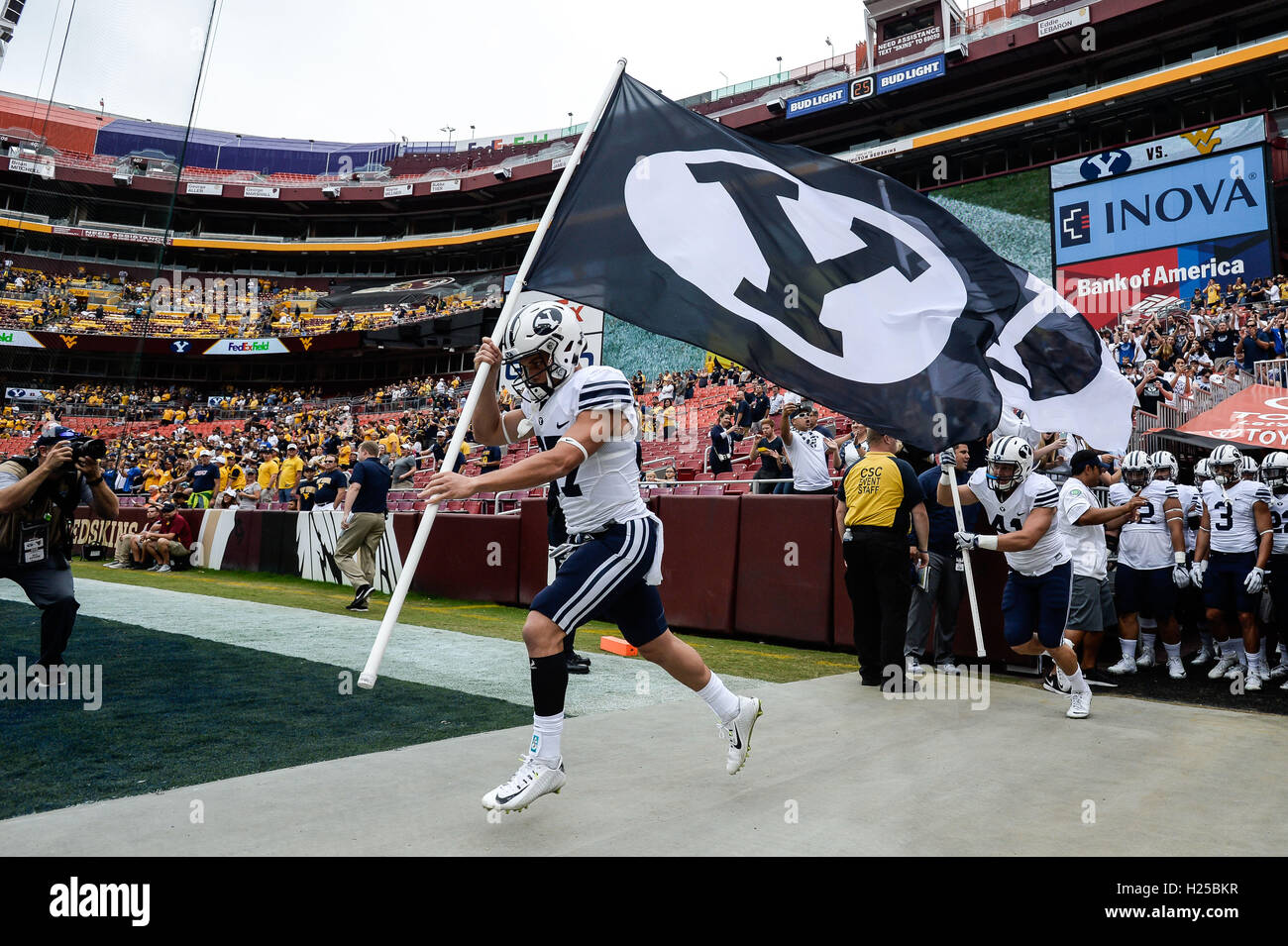 Team badger hi-res stock photography and images - Alamy