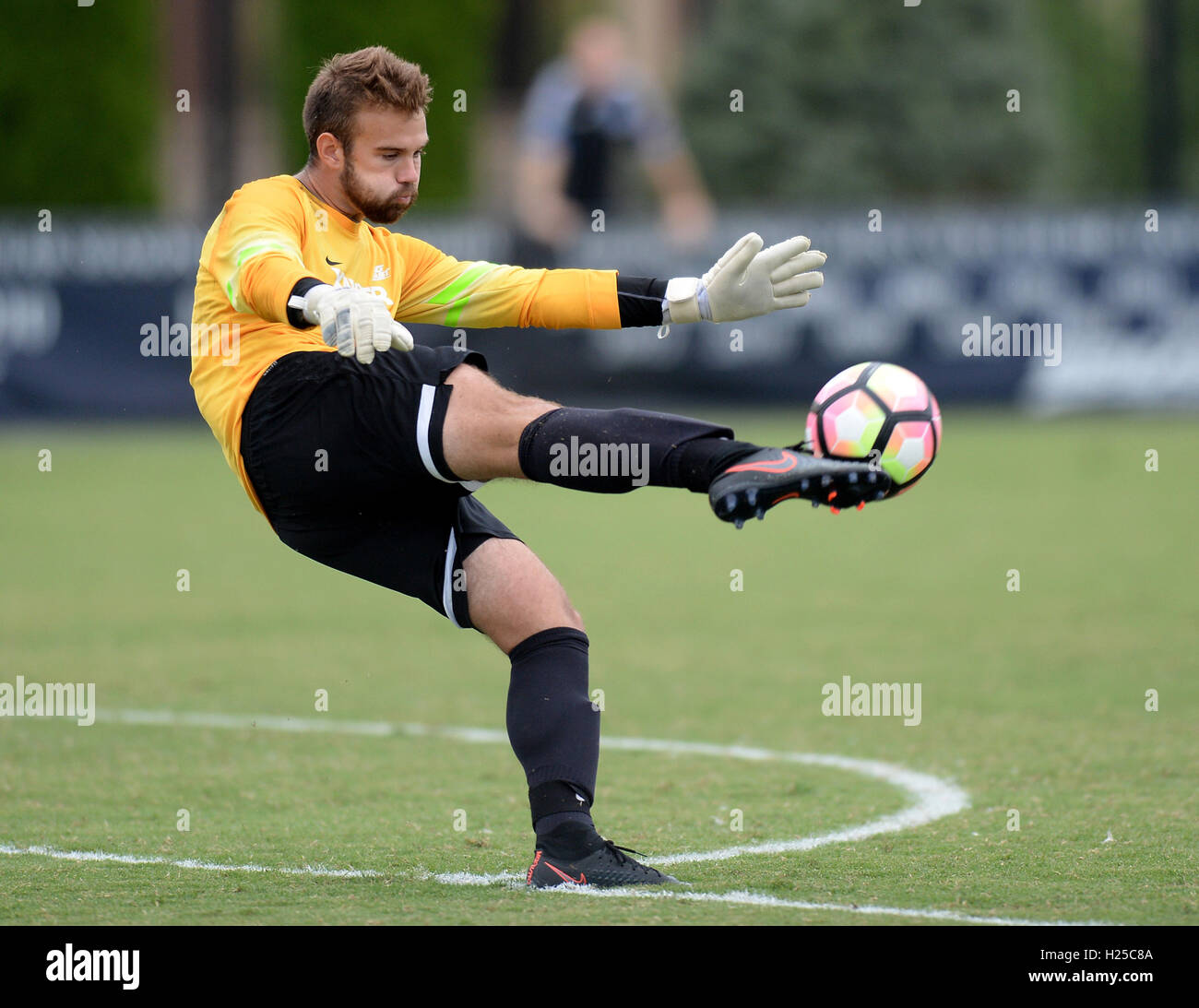 Colin shaw hi-res stock photography and images - Alamy