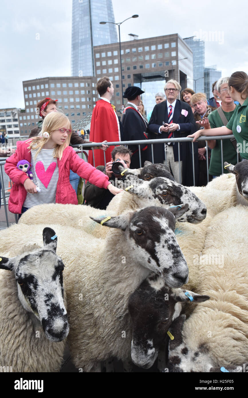 London Bridge, London, UK. 25th September, 2016. Nigel Mansell. The annual sheep drive by the ...