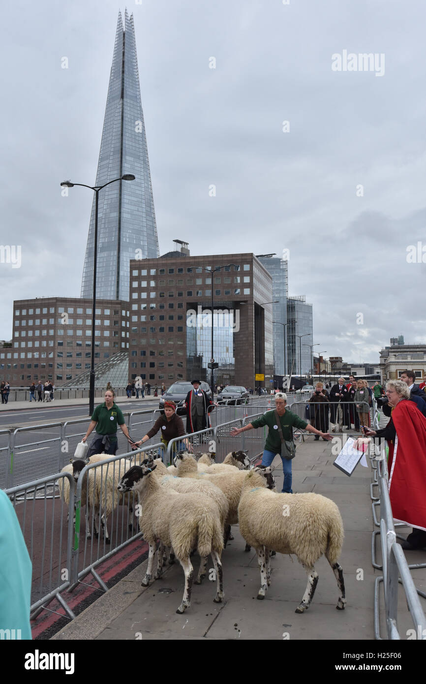 London Bridge, London, UK. 25th September, 2016. Nigel Mansell. The annual sheep drive by the ...