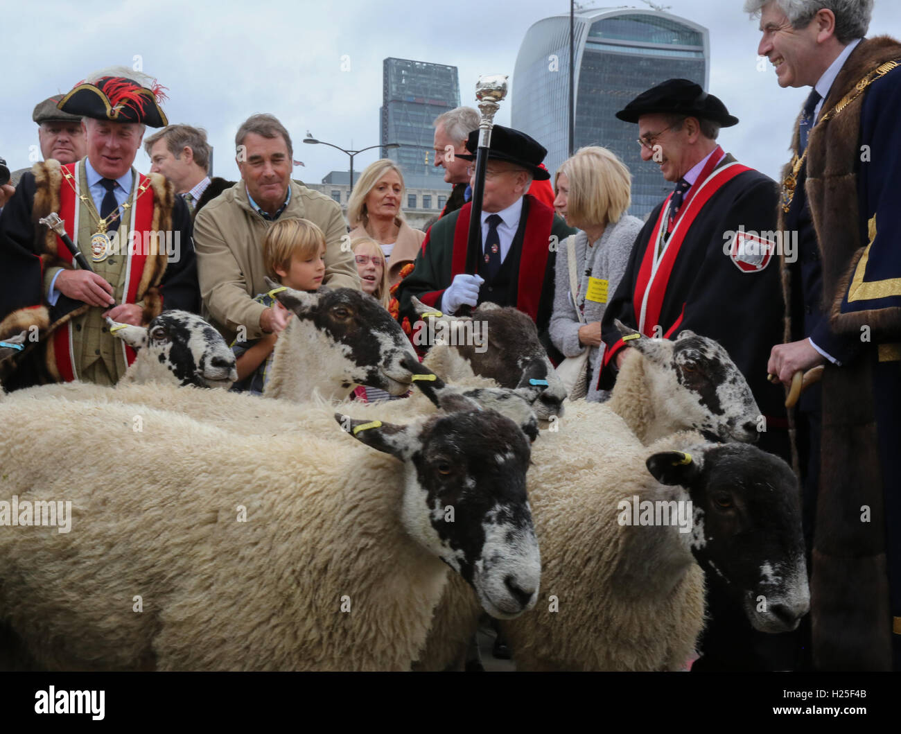 London, UK. 25th September, 2016. Former Formula One World Champion ...