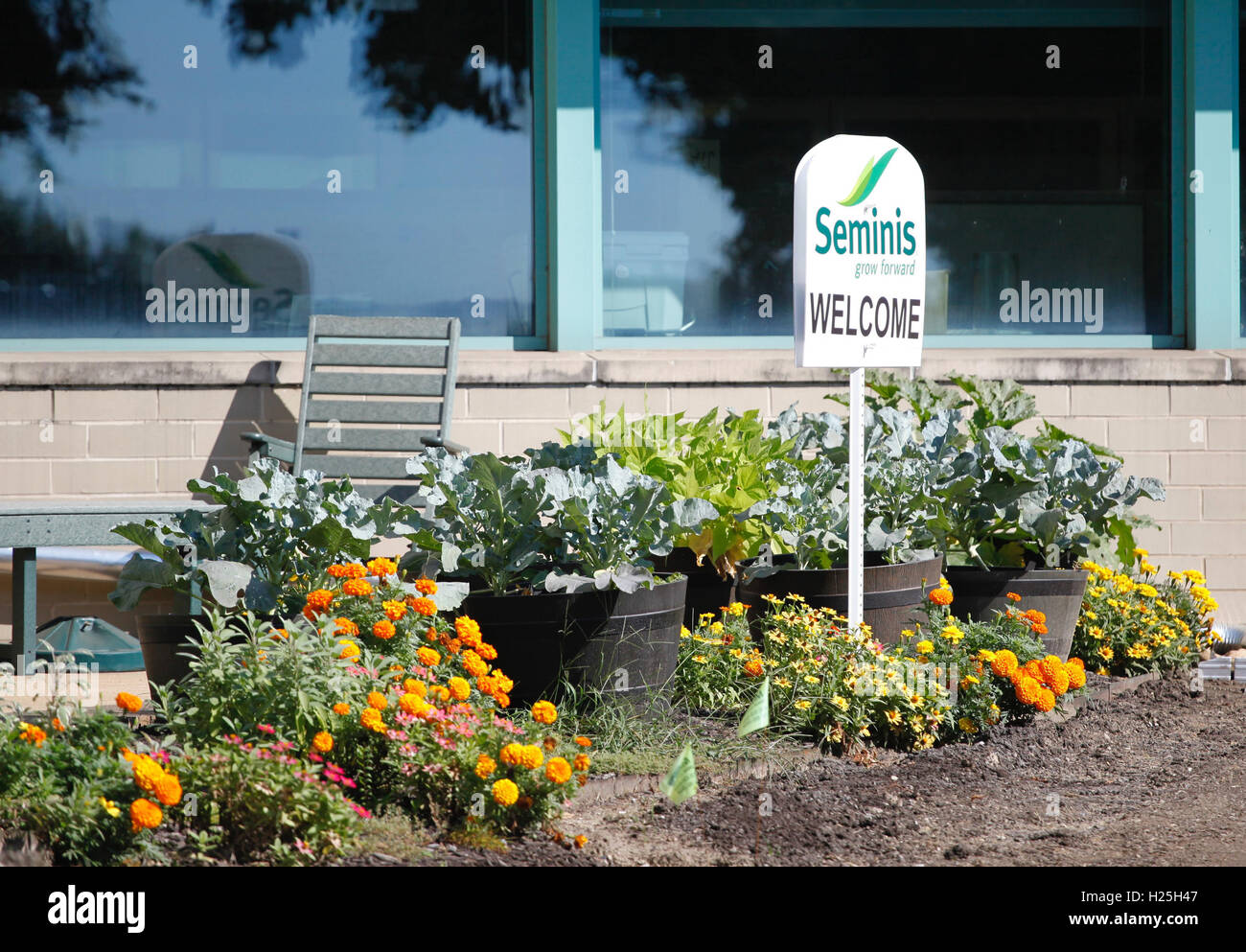 Monsanto company headquarters hi-res stock photography and images - Alamy