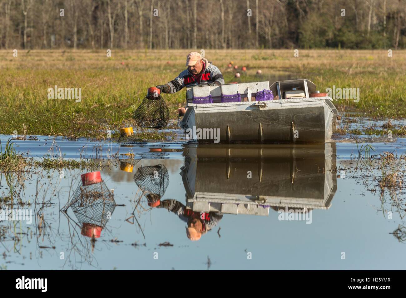Crawfish farm hi-res stock photography and images - Alamy