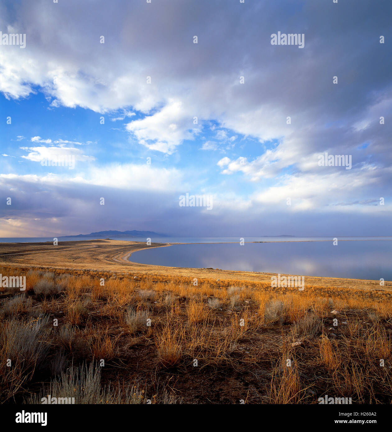 Salt island icon hi-res stock photography and images - Alamy