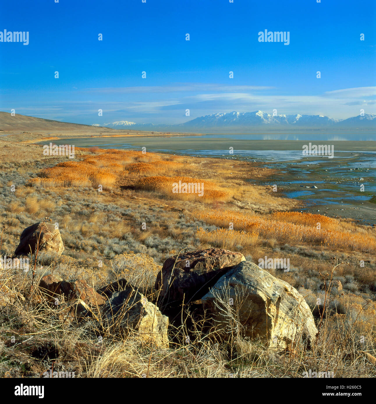 Salt island icon hi-res stock photography and images - Alamy