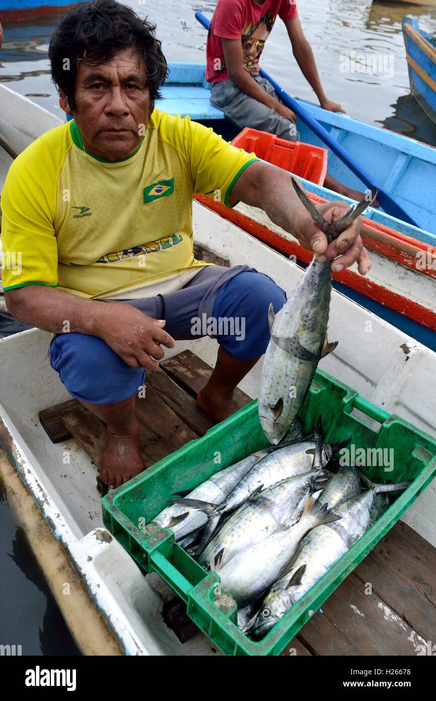 Bonito fish peru hi-res stock photography and images - Alamy