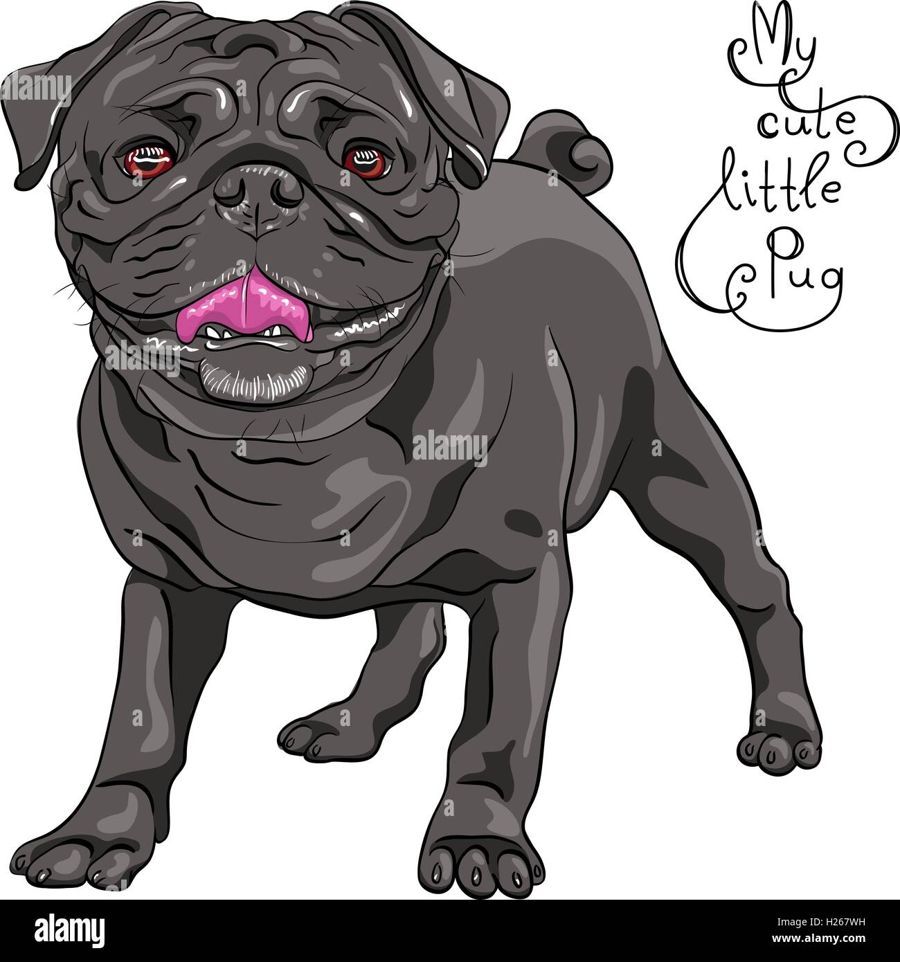 vector sketch cute dog black pug breed Stock Vector Image & Art - Alamy