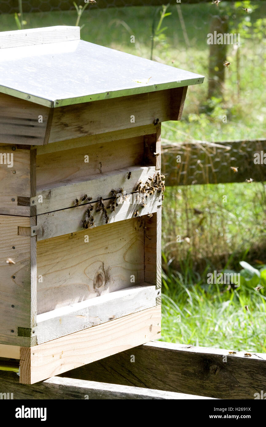 Traditional garden fence hi-res stock photography and images - Alamy