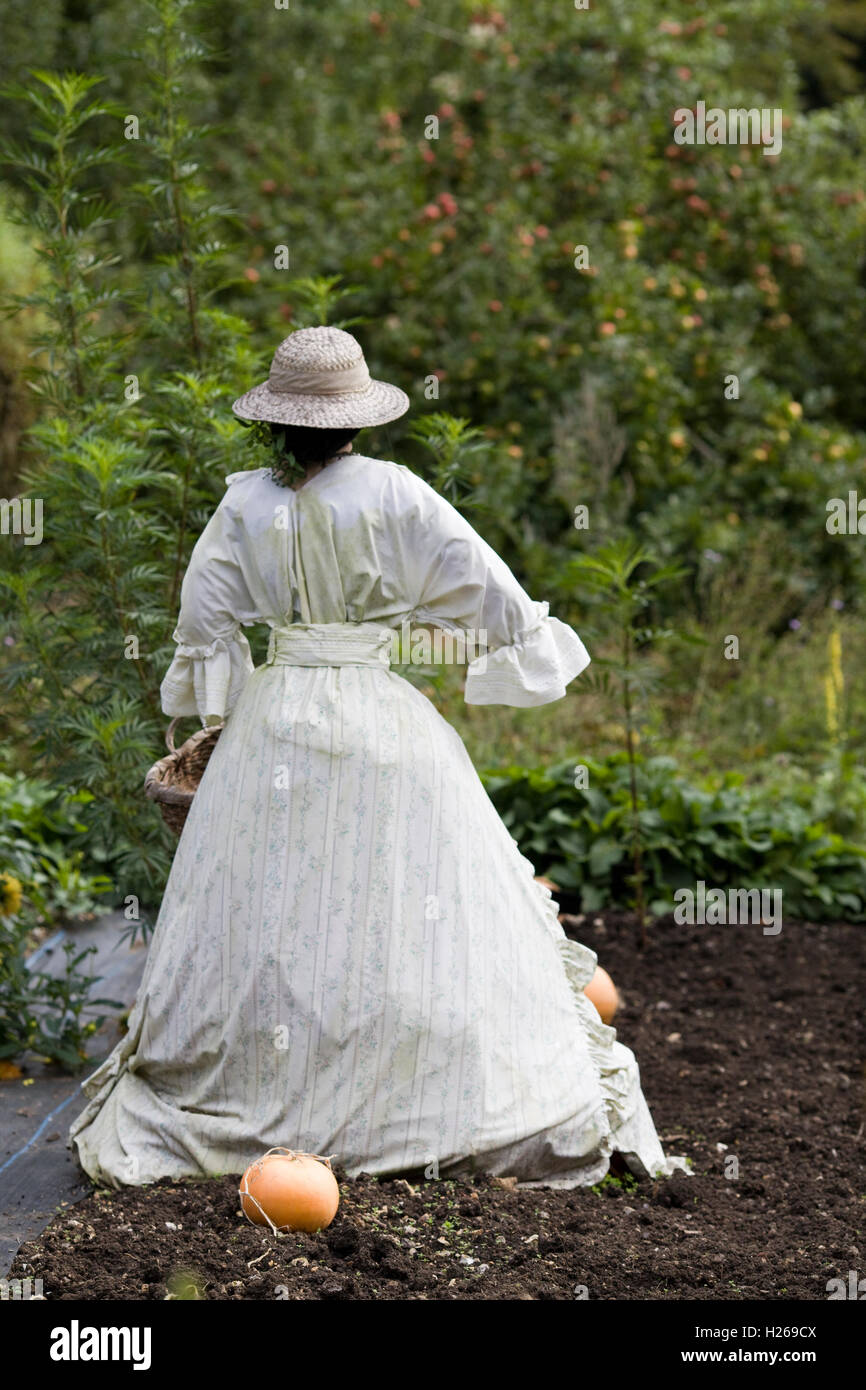 Victorian bride scarecrow in a pumpkin and Vegetable garden Stock Photo ...