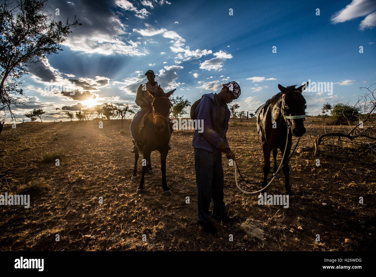 Workers of a farm near Windhoek, Namibia Stock Photo - Alamy