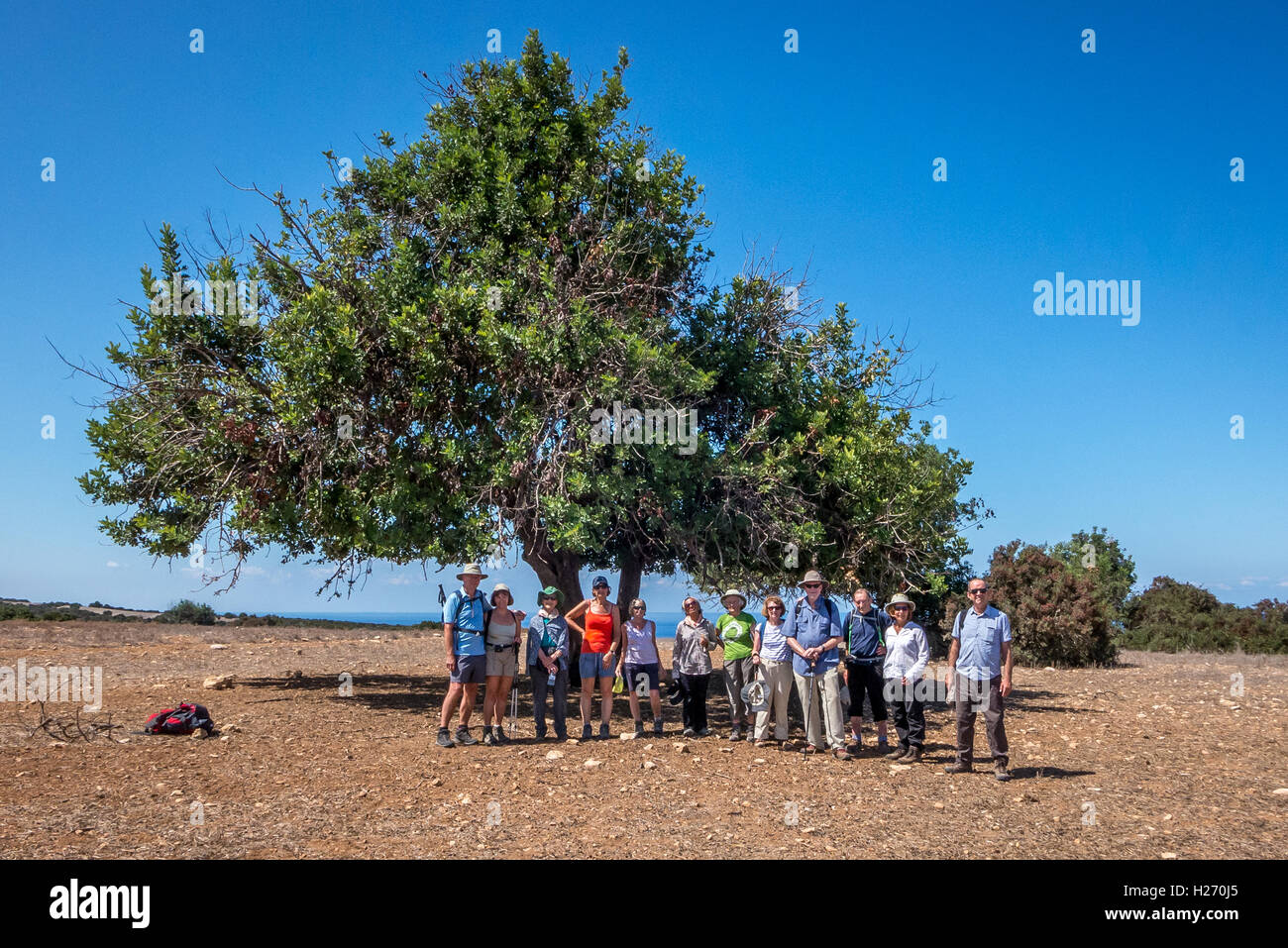 Rambling pathway hi-res stock photography and images - Alamy