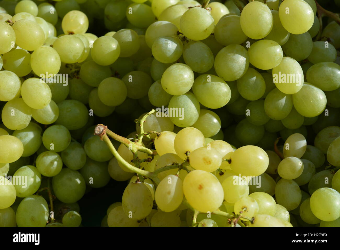 Fruits germany hi-res stock photography and images - Alamy
