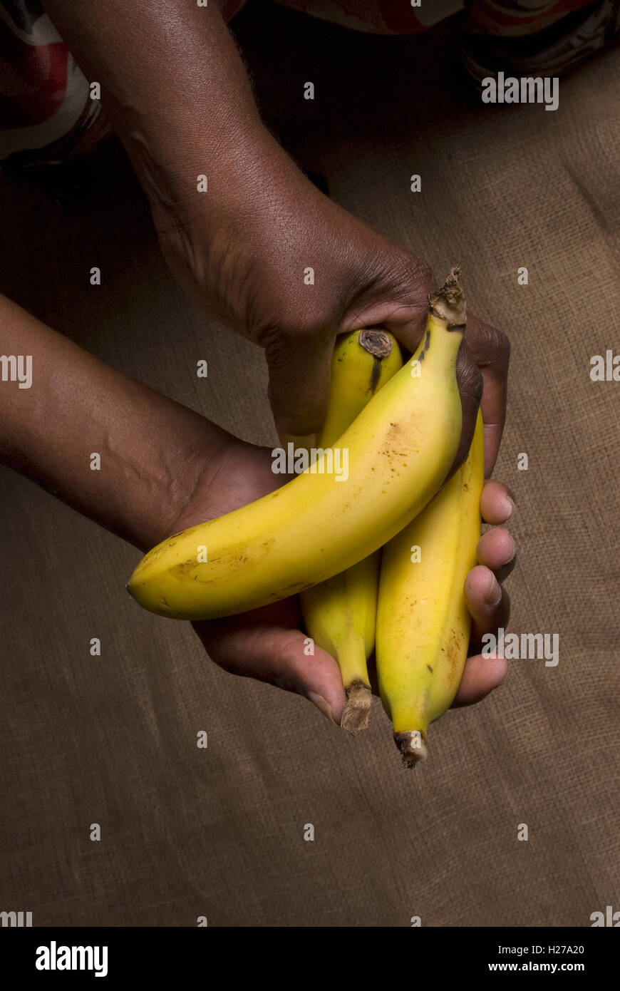 Hand of bananas hi-res stock photography and images - Alamy
