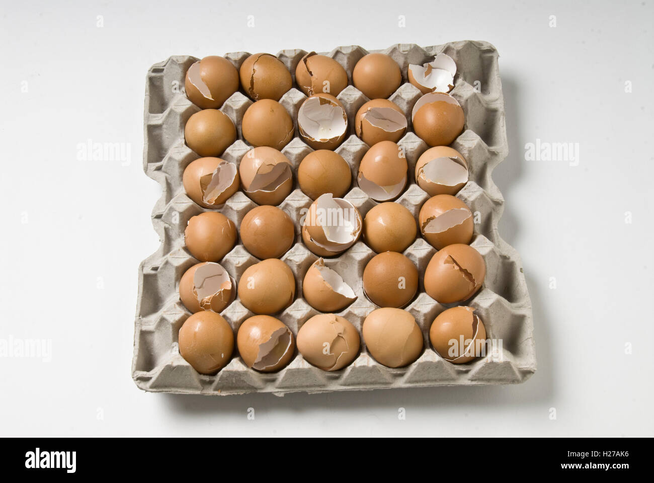 A tray of thirty empty broken brown chicken eggshells Stock Photo - Alamy