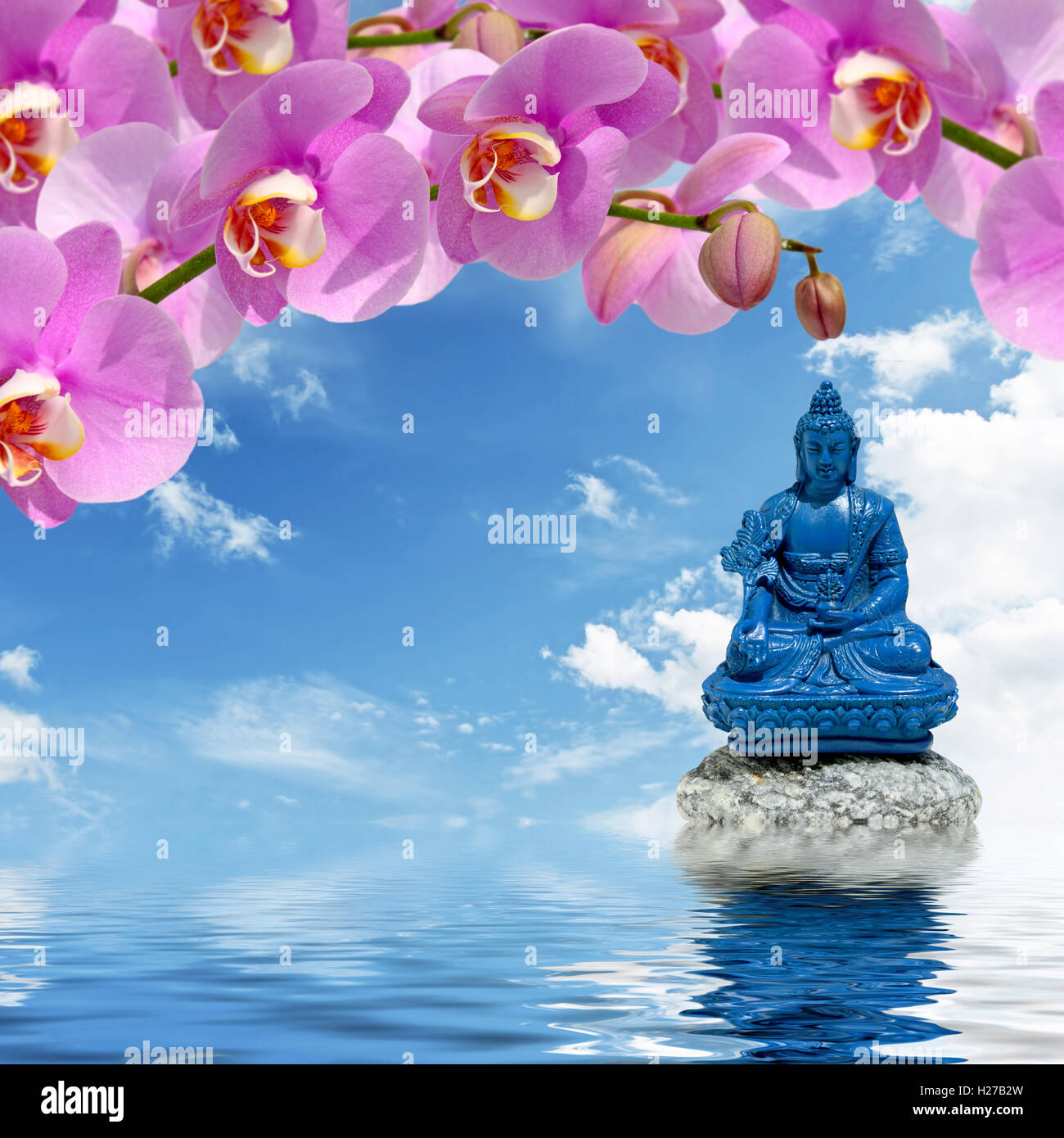 Buddha,zen stone and orchid flowers reflected in water Stock Photo - Alamy