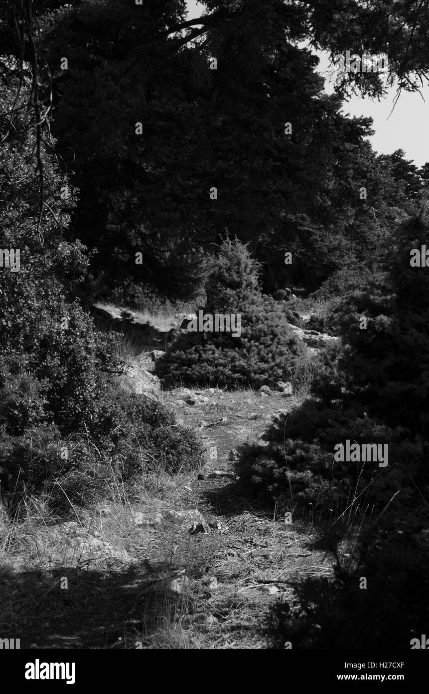 Nature photography out in the open space Stock Photo - Alamy