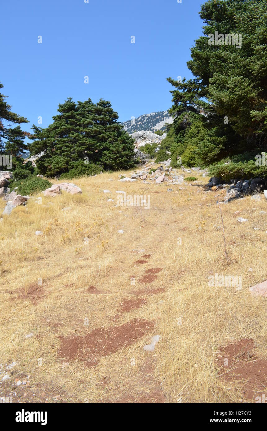 Nature photography out in the open space Stock Photo - Alamy