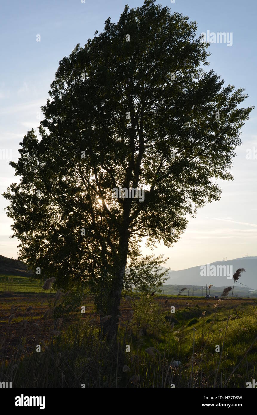 Nature photography out in the open space Stock Photo - Alamy