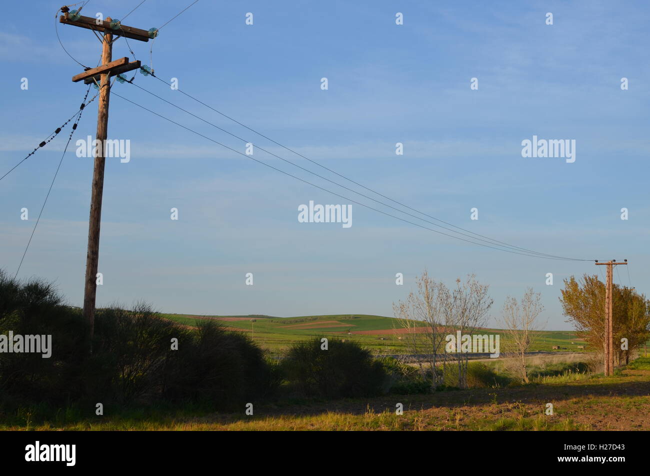Photography of nature in the open space Stock Photo - Alamy