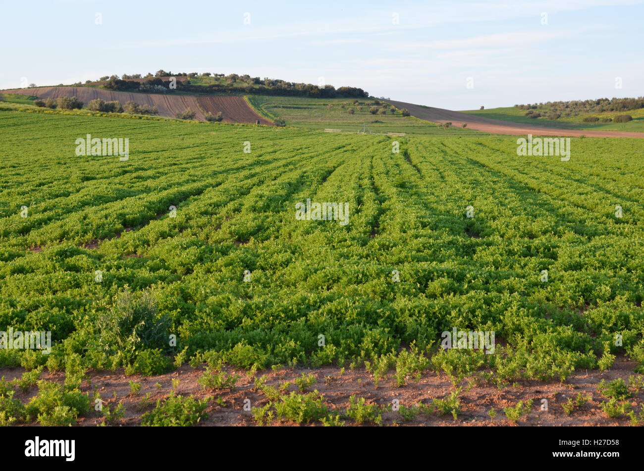 Nature photography out in the open space Stock Photo - Alamy