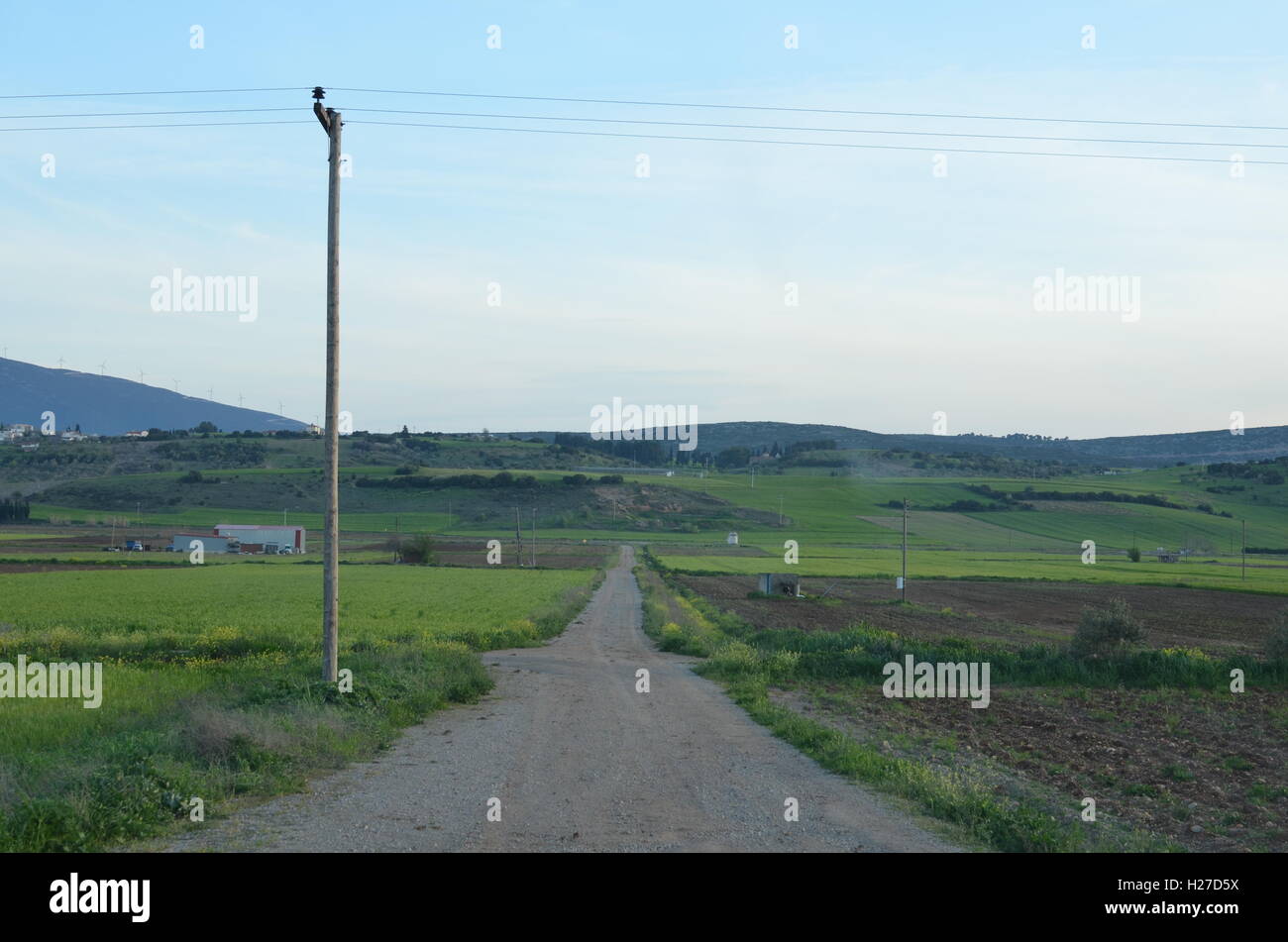 Nature photography out in the open space Stock Photo - Alamy