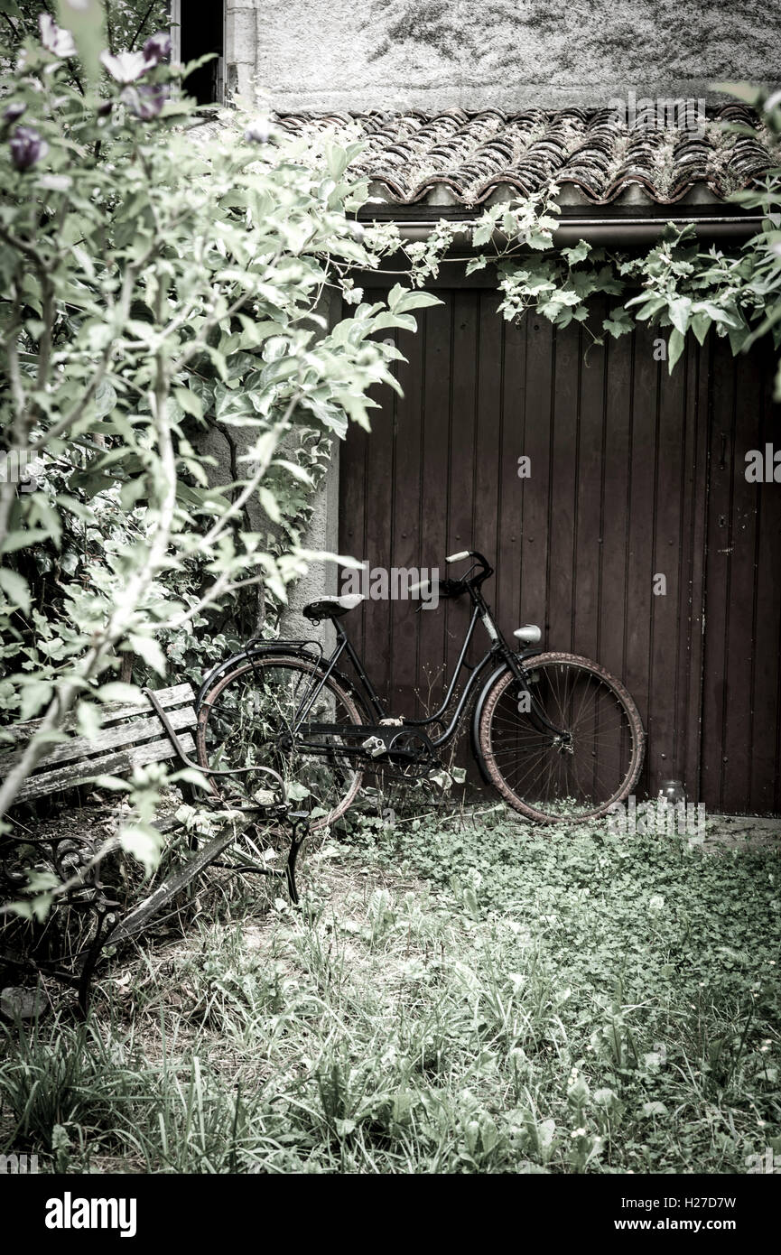 Bicycle in French garden Stock Photo - Alamy