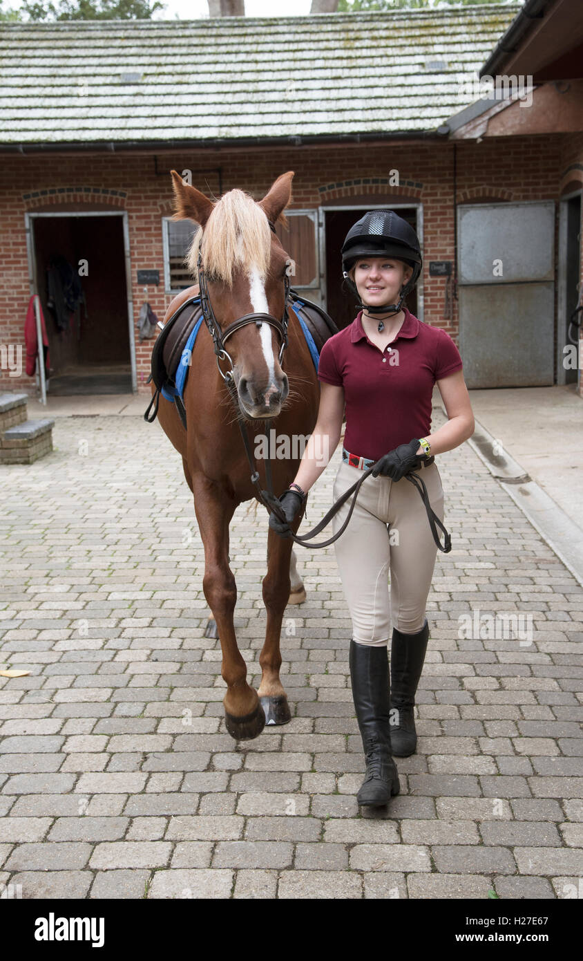 Pony riding lesson hi-res stock photography and images - Alamy