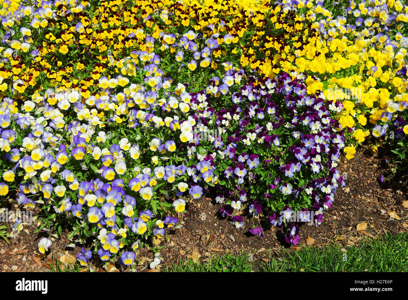 Beautification project hi-res stock photography and images - Alamy