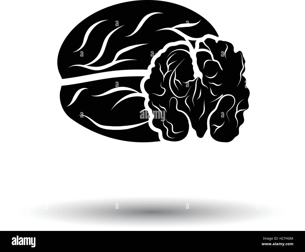 Walnut icon. White background with shadow design. Vector illustration ...