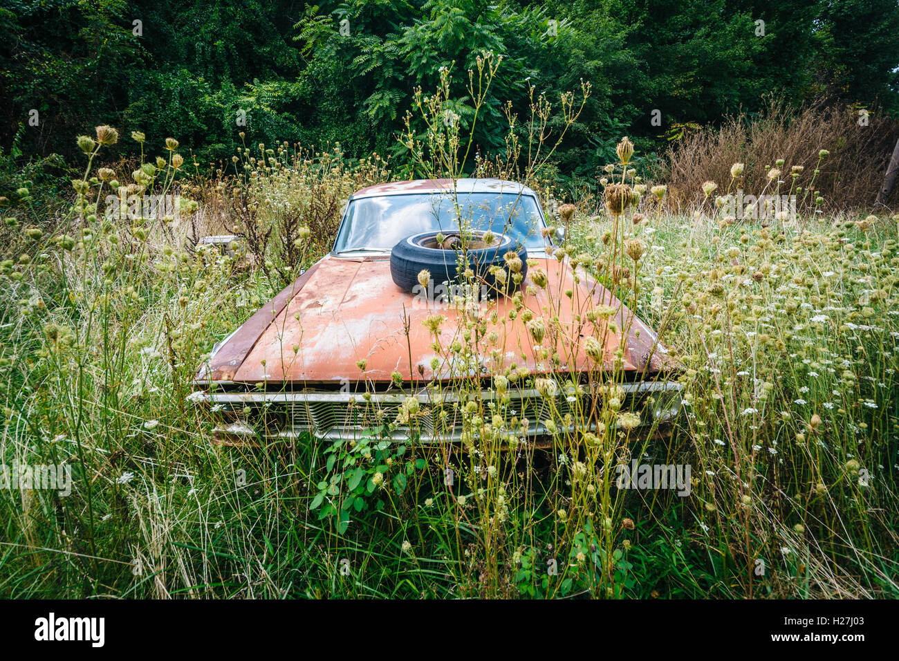 Abandoned, rusty car in the rural Shenandoah Valley, Virginia Stock Photo - Alamy
