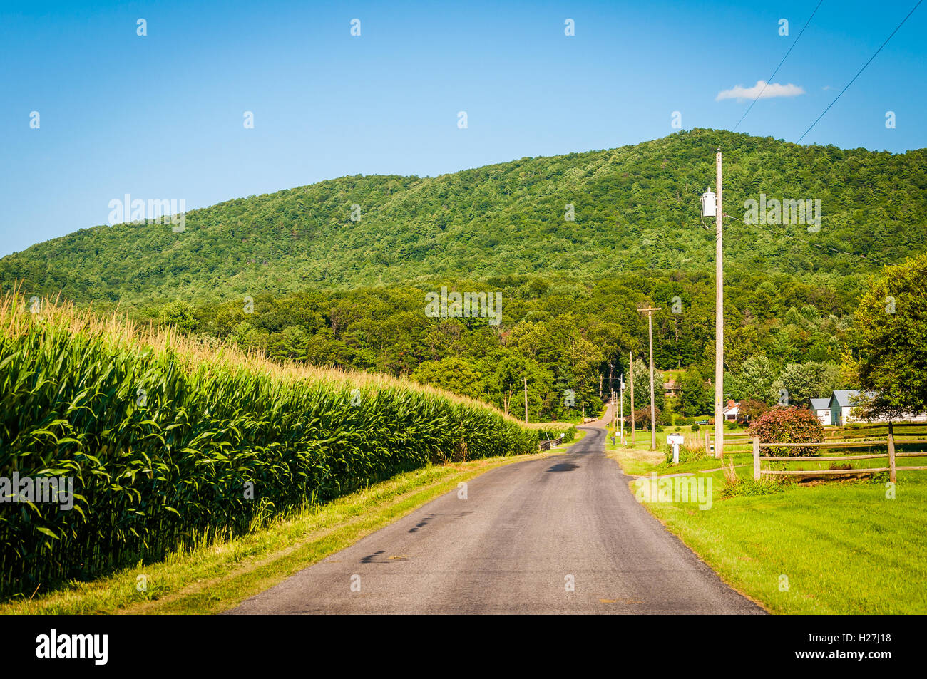 Field mountains rural road hi-res stock photography and images - Alamy