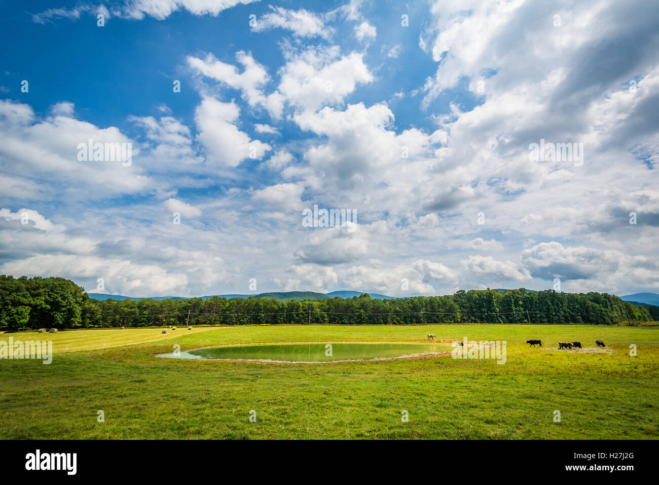 Small rural farm hi-res stock photography and images - Alamy
