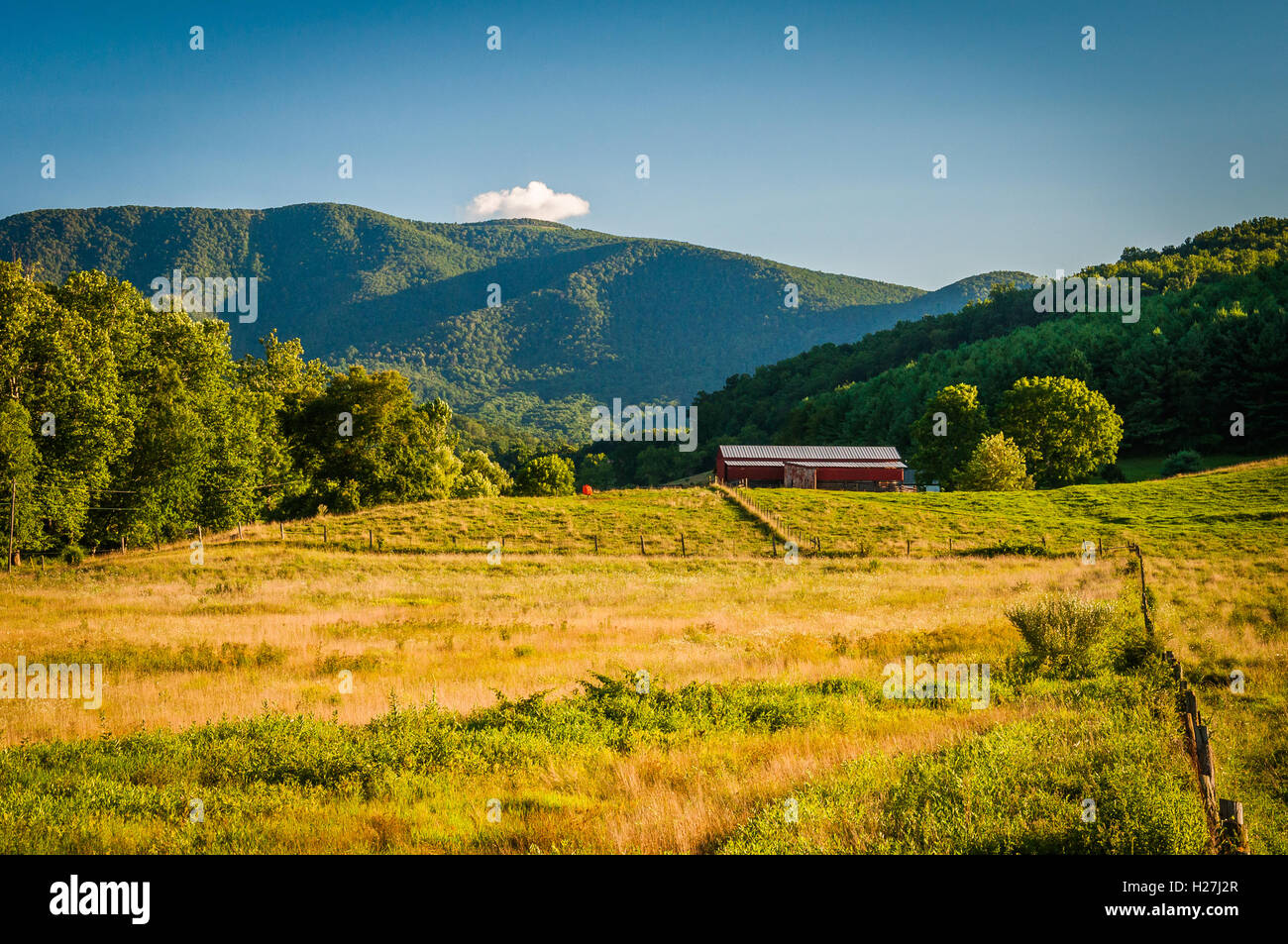 Farm fields and view of distant mountains in the rural Shenandoah ...