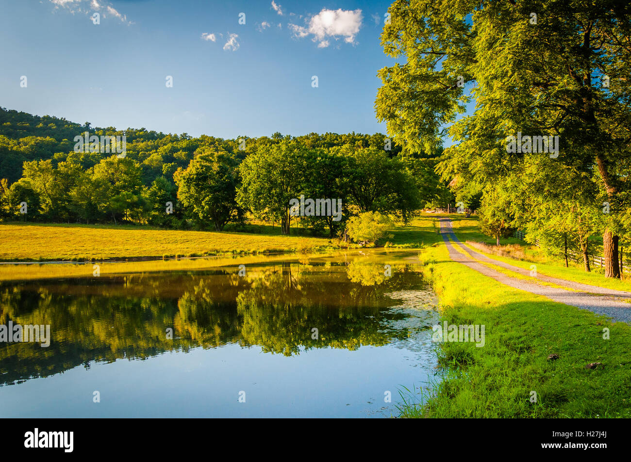 Pond and farm in the rural Shenandoah Valley of Virginia Stock Photo ...