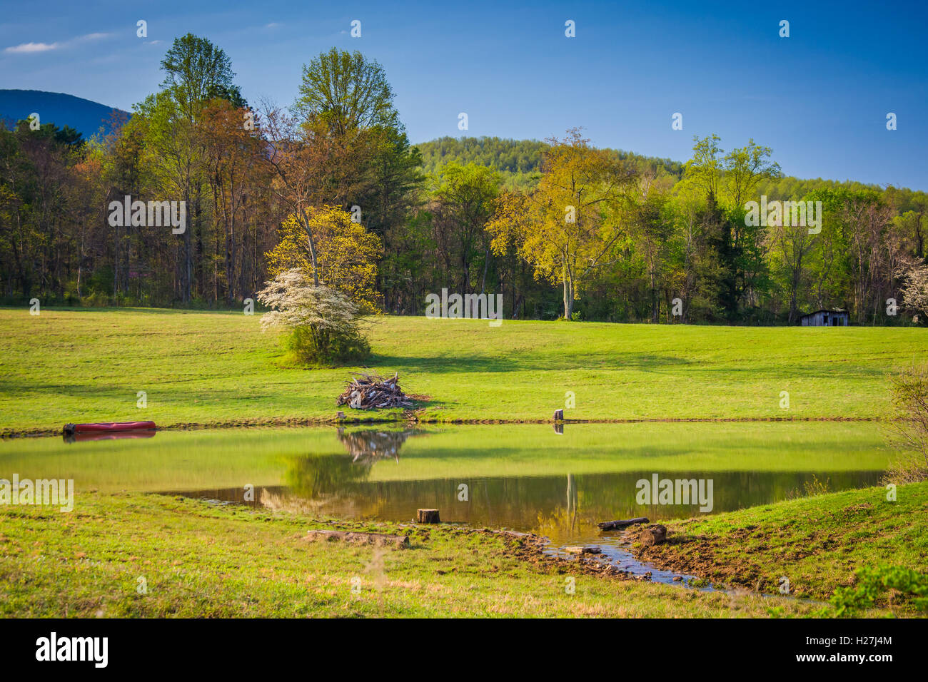 Pond and spring color in the rural Shenandoah Valley of Virginia Stock ...