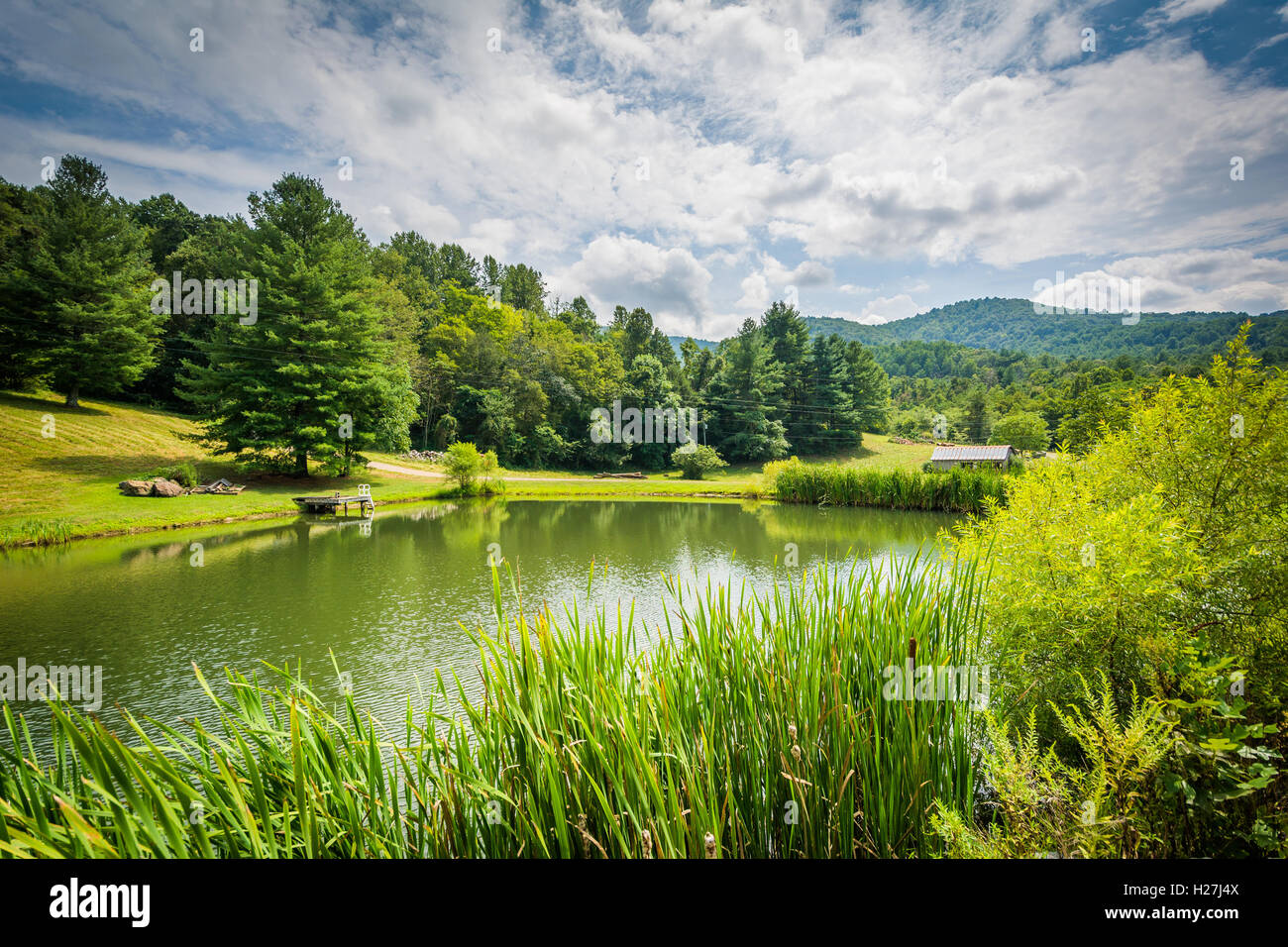 Pond in the rural Shenandoah Valley of Virginia Stock Photo - Alamy