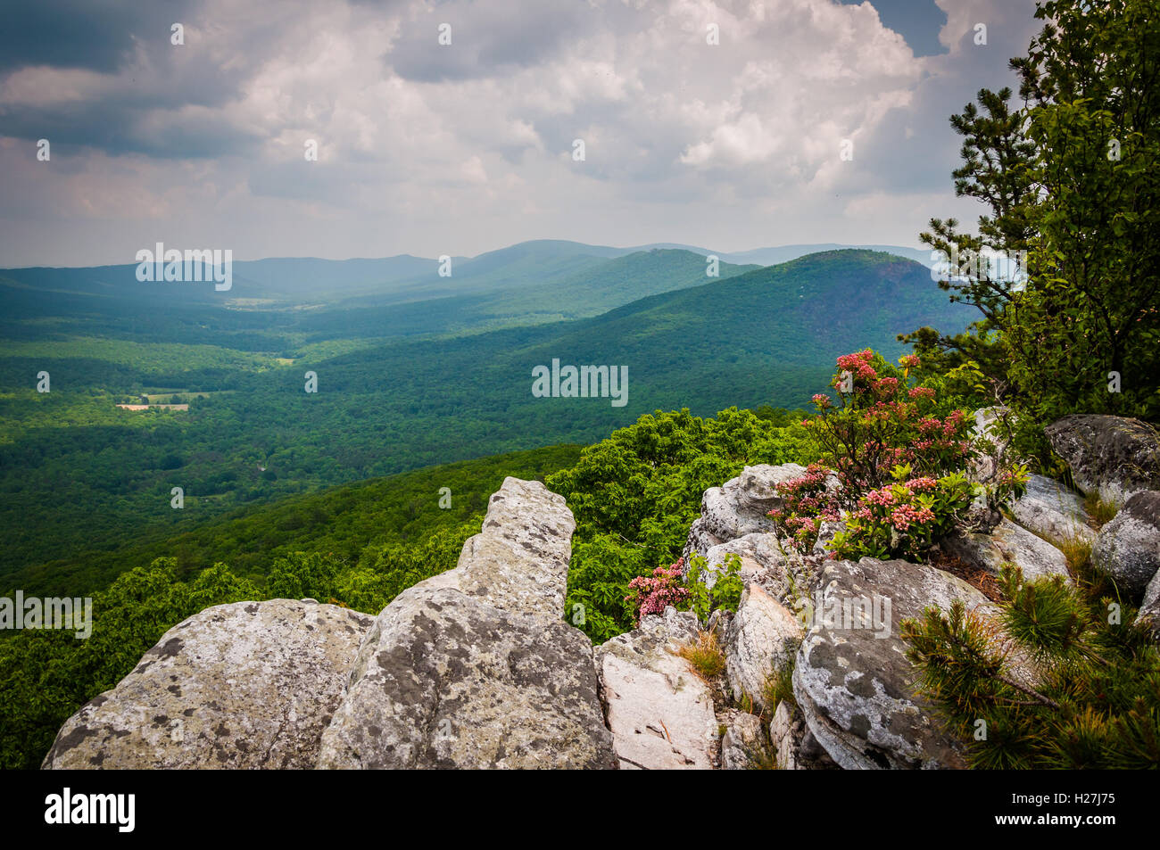 Appalachian Ridge And Valley Information