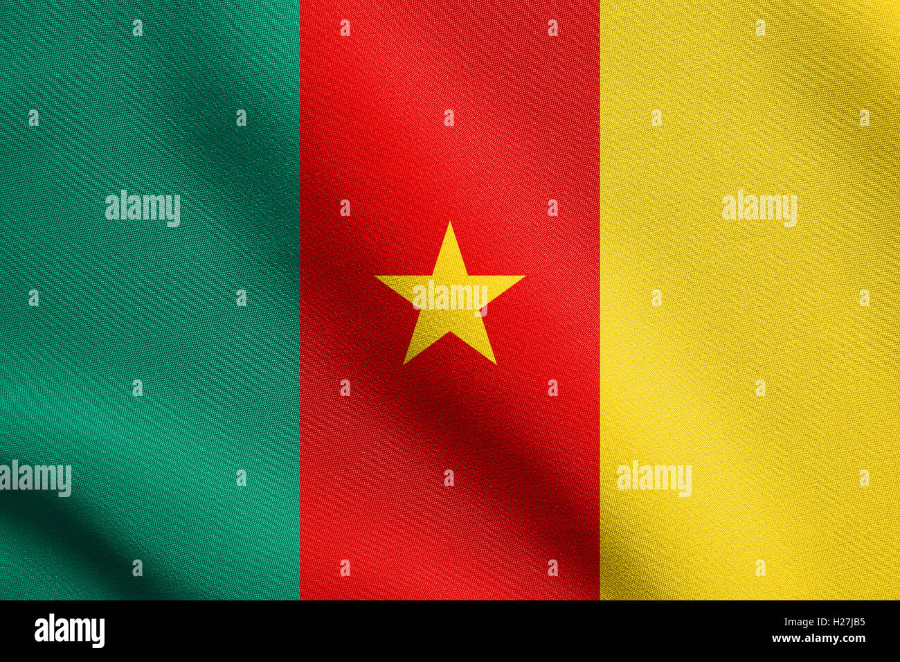 Cameroonian national official flag. African patriotic symbol, banner ...
