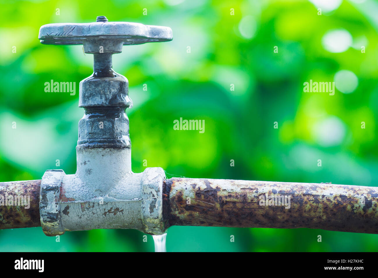 Old water tap in the garden Stock Photo - Alamy
