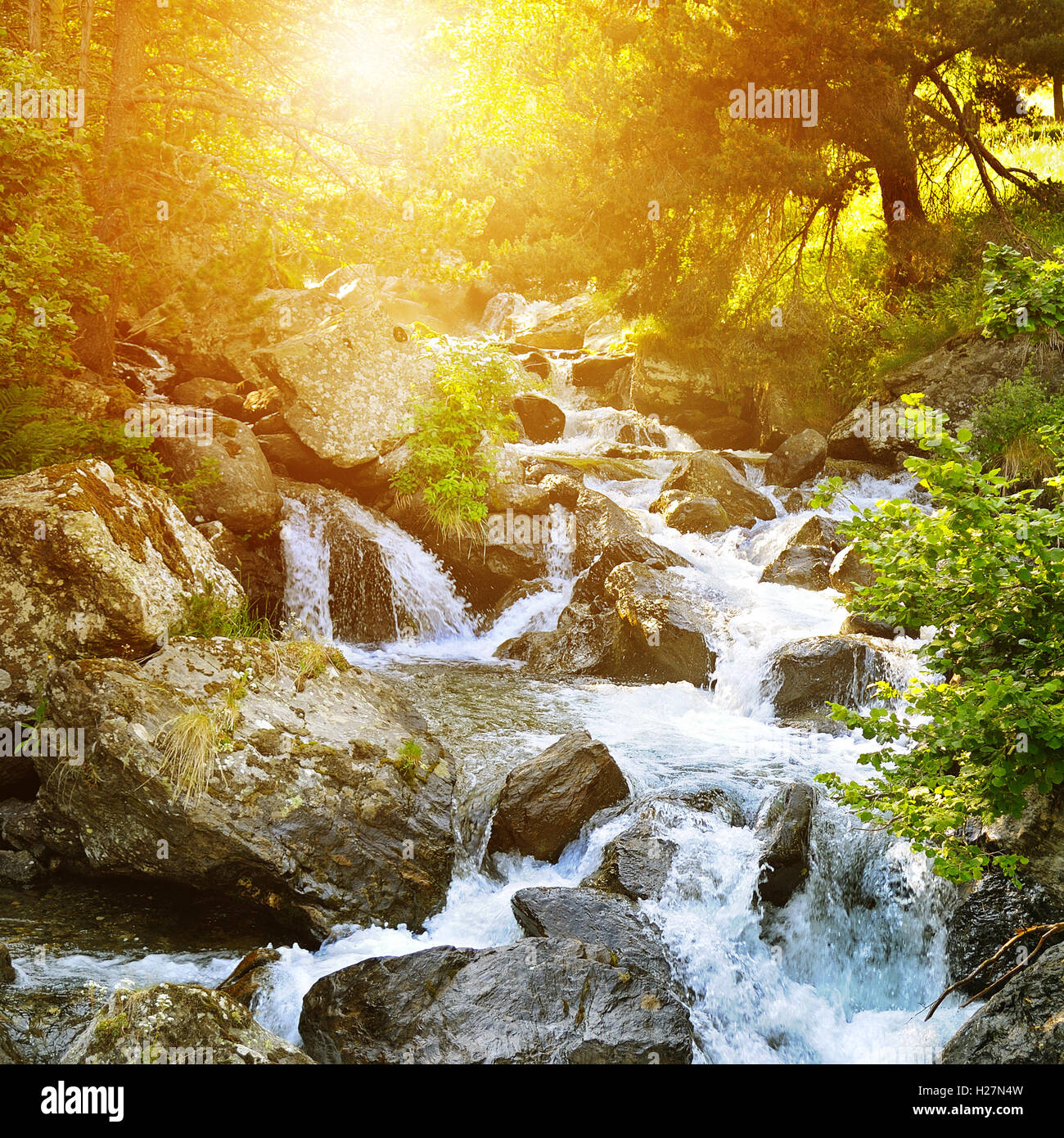 mountain river, forest and bright sun Stock Photo - Alamy