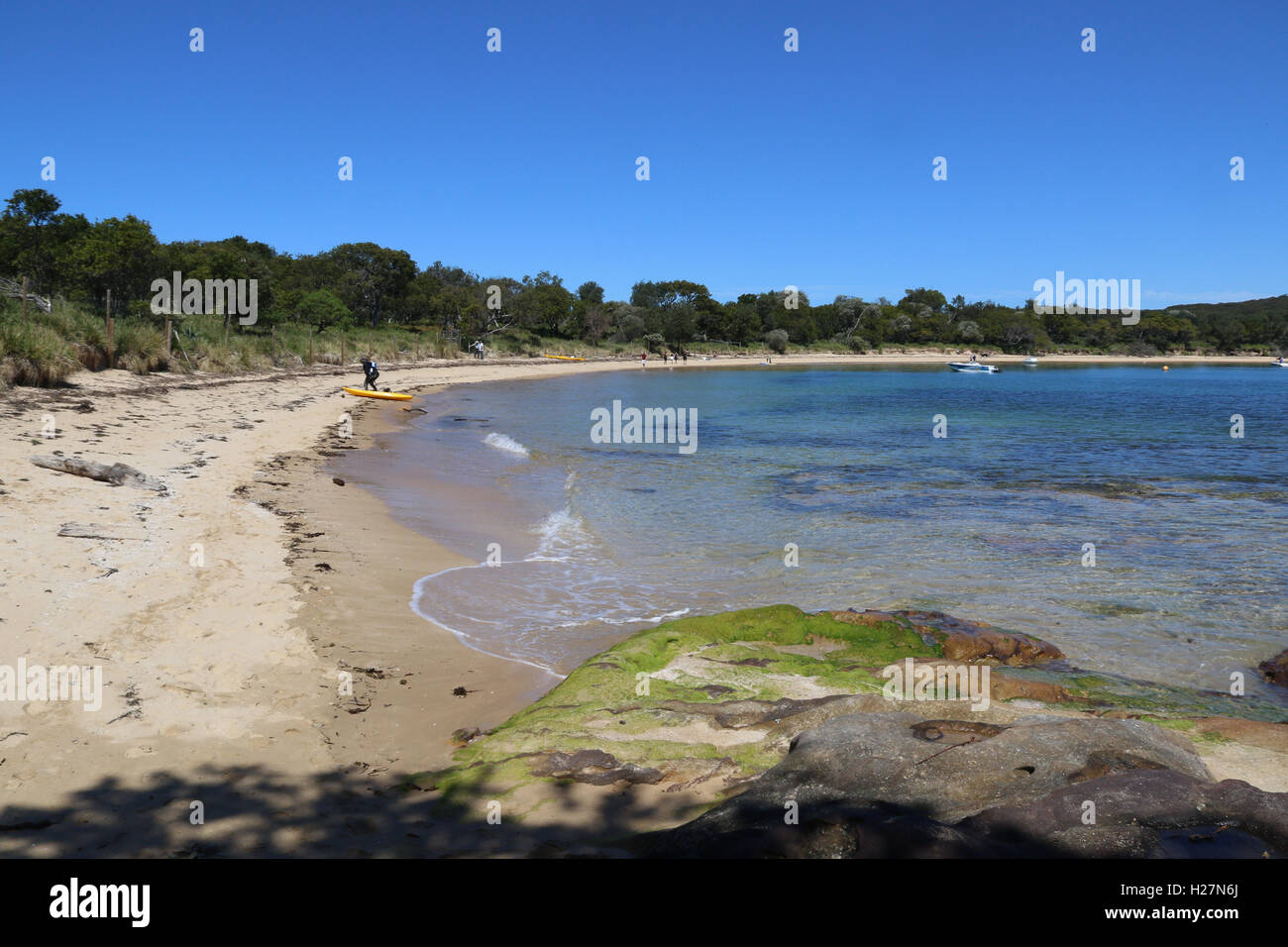 Jibbon High Resolution Stock Photography and Images - Alamy