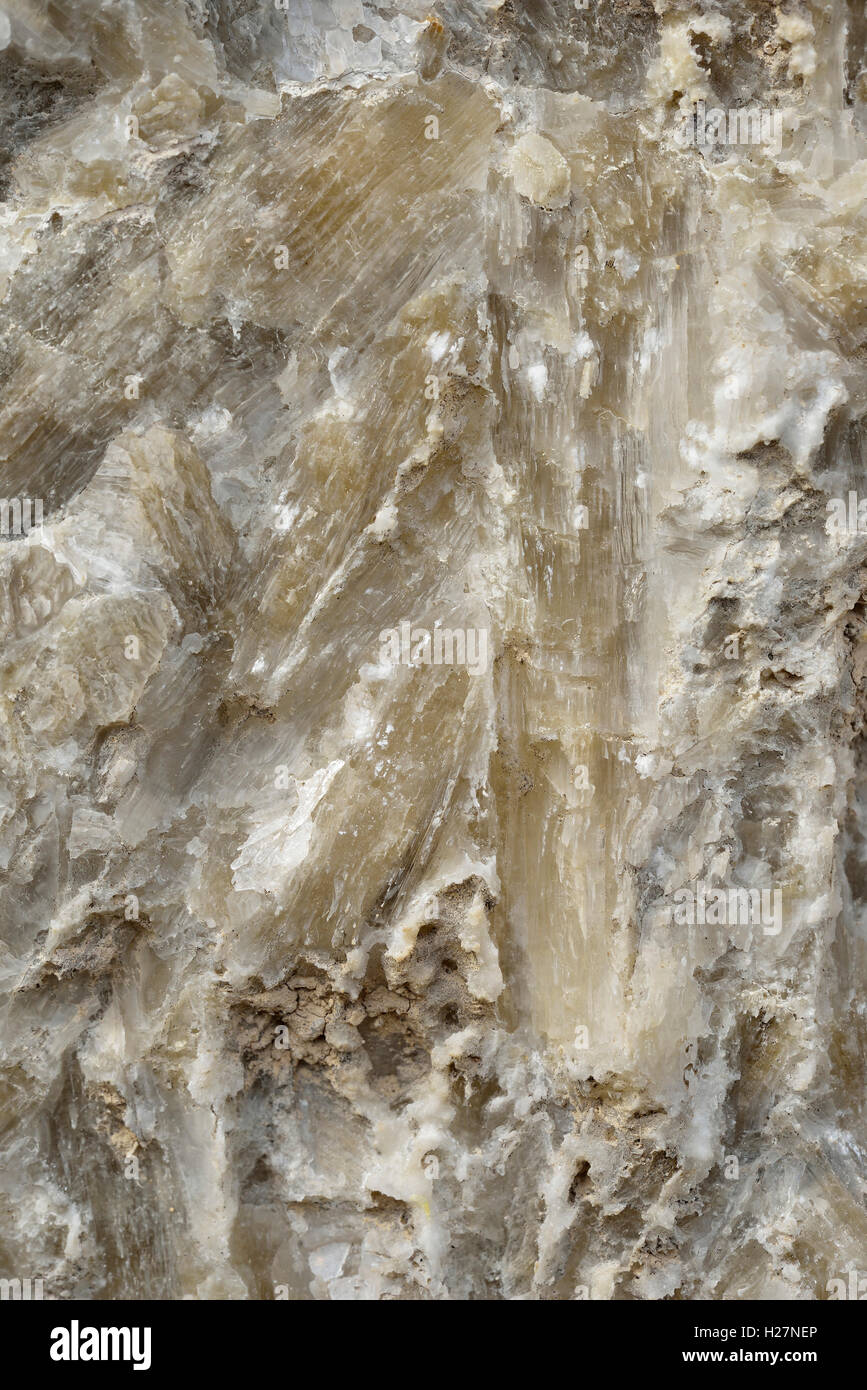 Gypsum Selenite Crystals Closeup of Crystals, Avakas Gorge, Akamas ...