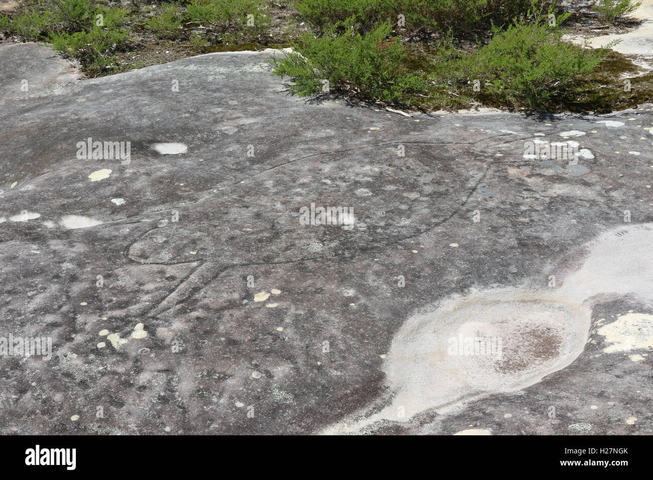 Jibbon rock engravings hi-res stock photography and images - Alamy