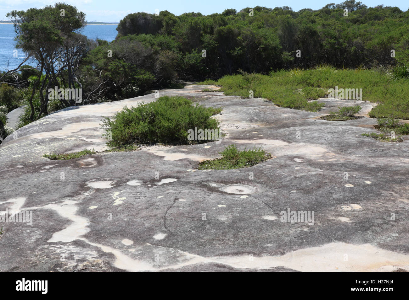 Jibbon Aboriginal Rock Engravings, Royal National Park Stock Photo - Alamy