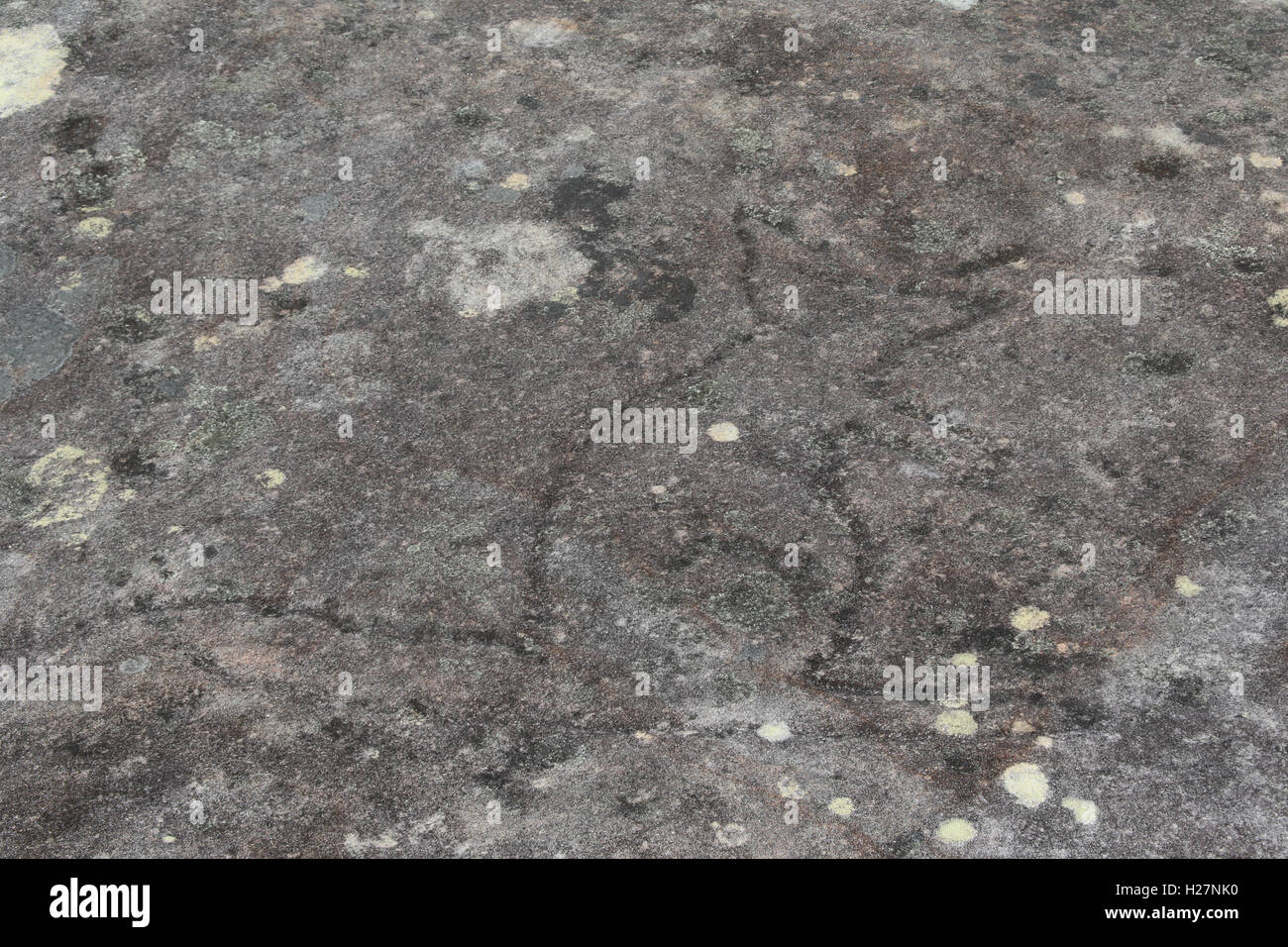 Aboriginal rock engraving hi-res stock photography and images - Alamy