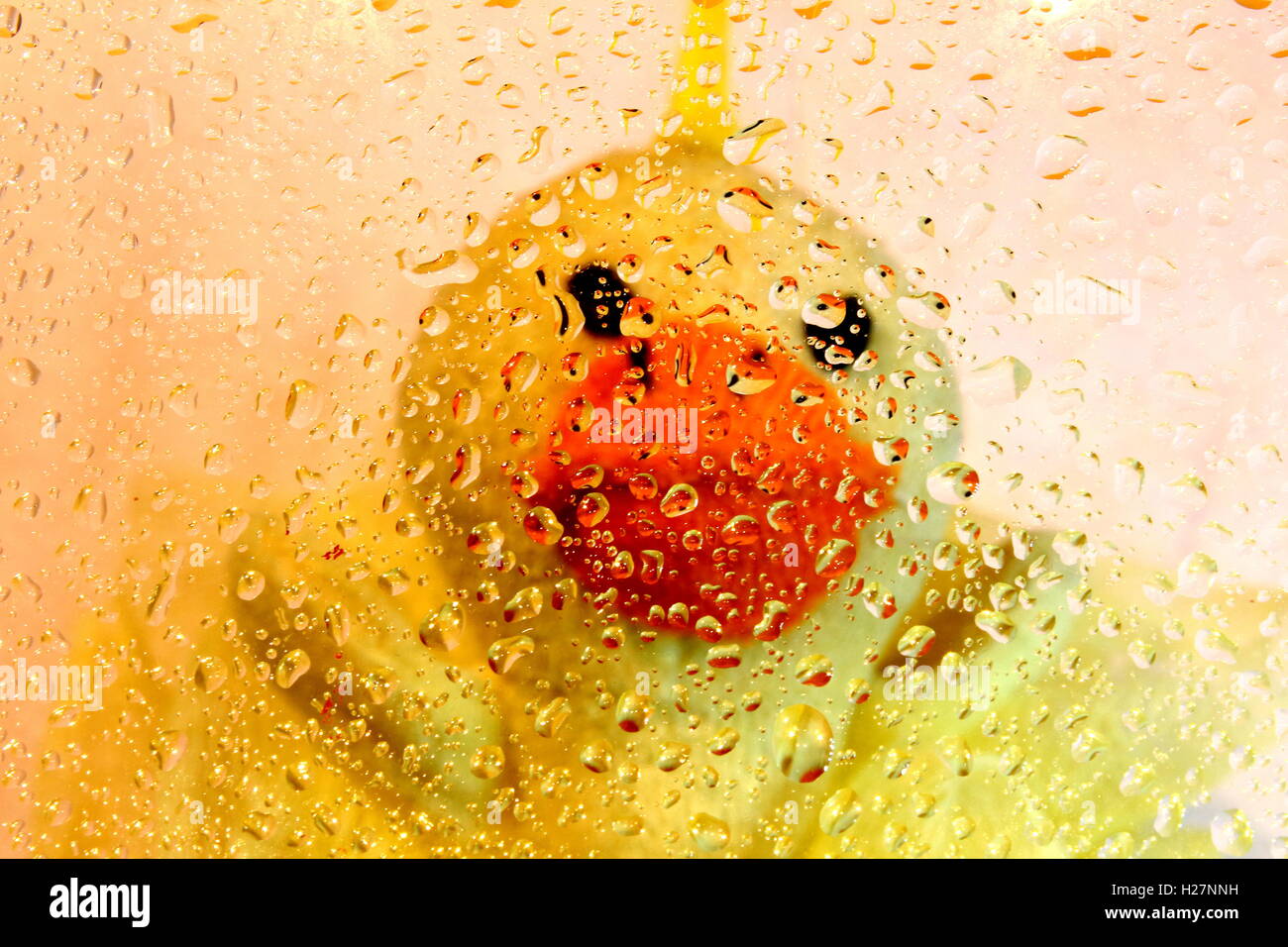 colorful object through water drops Stock Photo - Alamy
