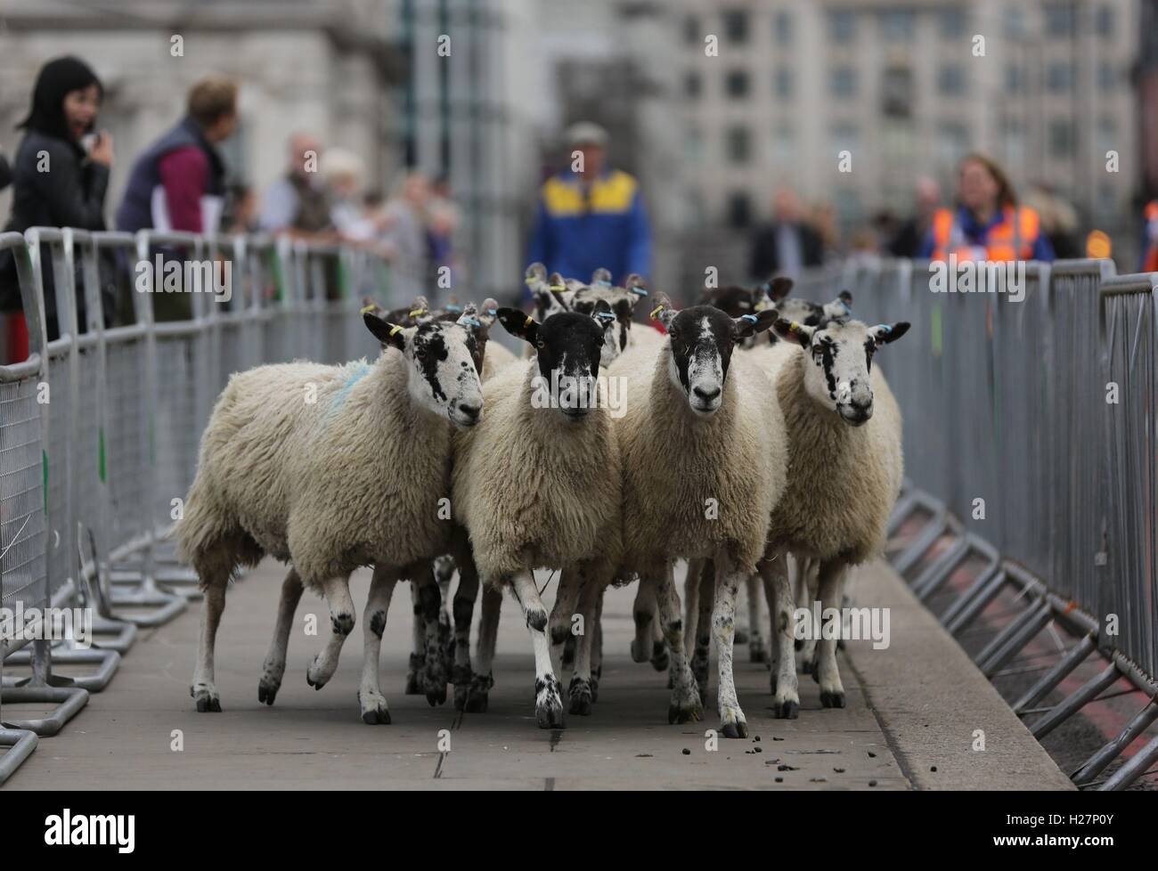 British racing driver nigel mansell hi-res stock photography and images ...