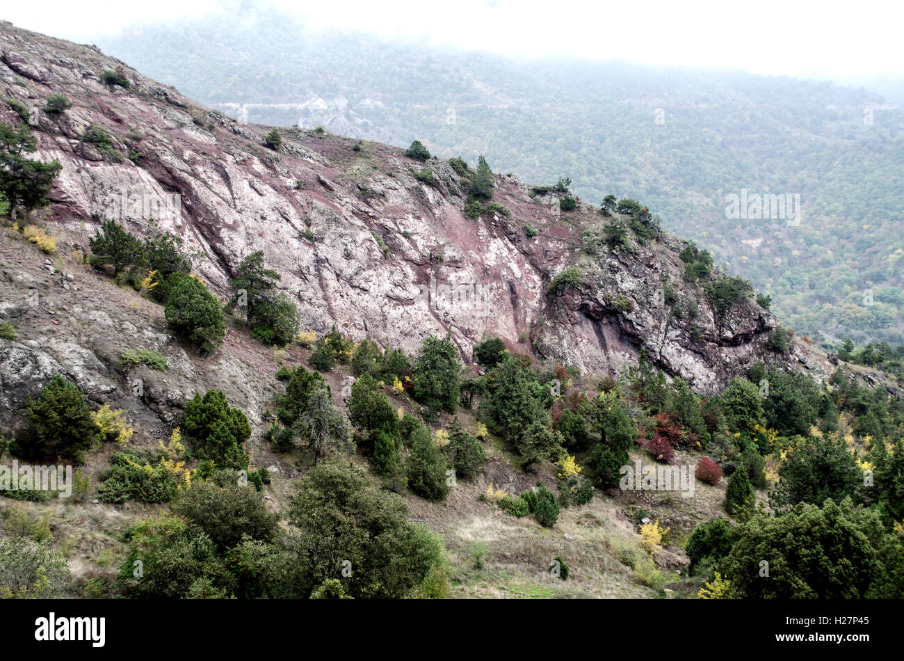 Congealed hi-res stock photography and images - Alamy