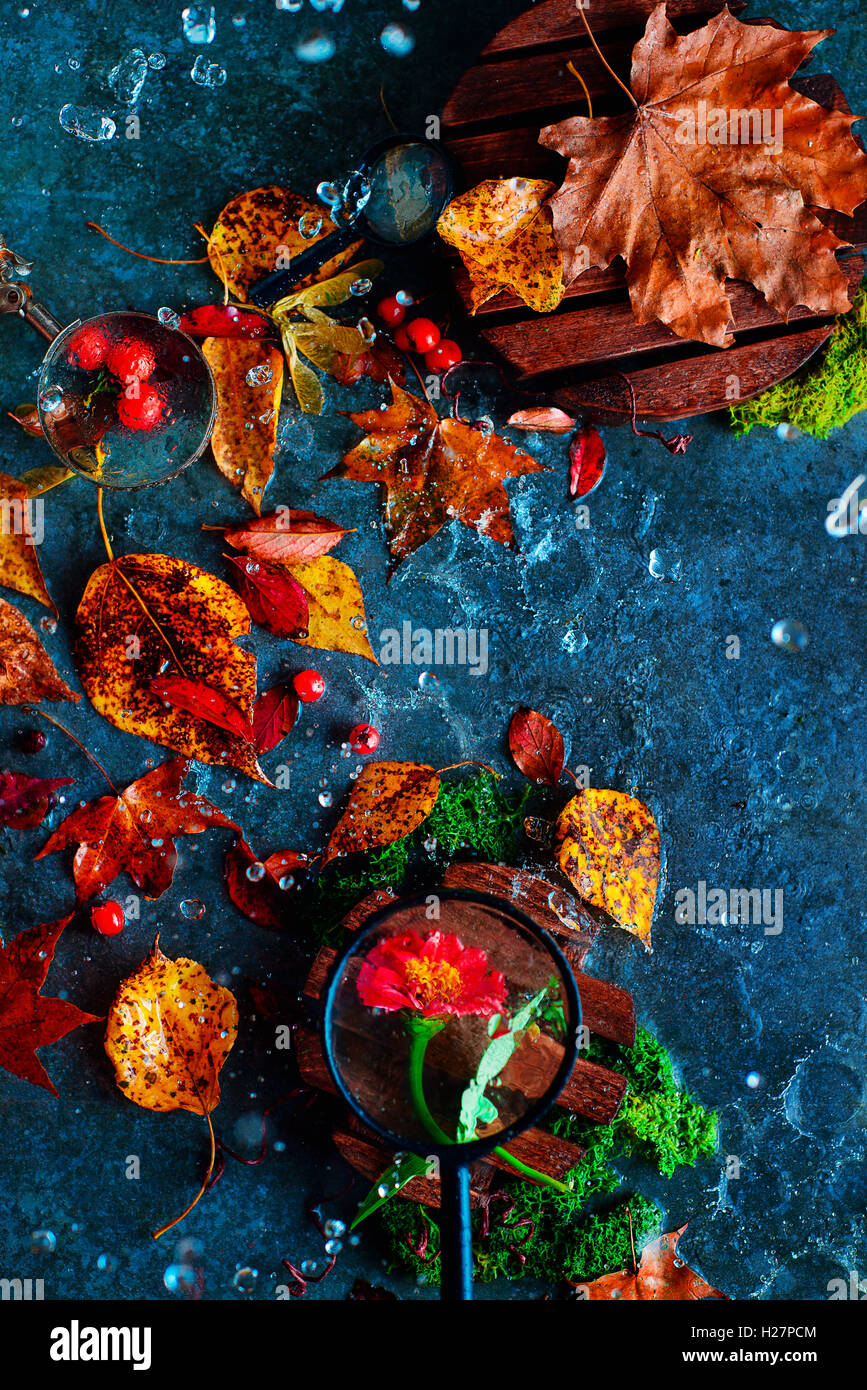 Making stars: magical still life with sparks Stock Photo - Alamy