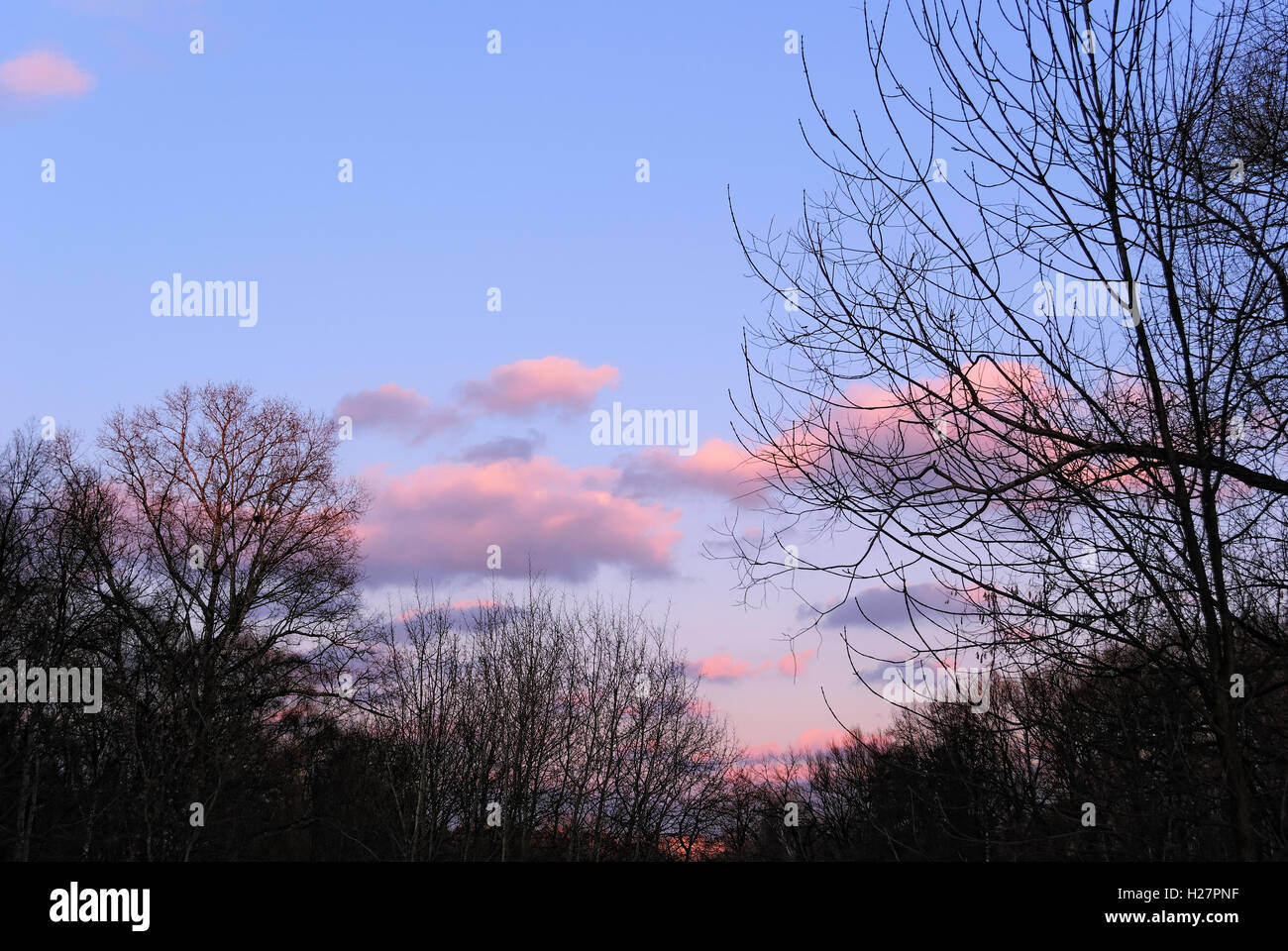 Lilac pink sunset hi-res stock photography and images - Alamy